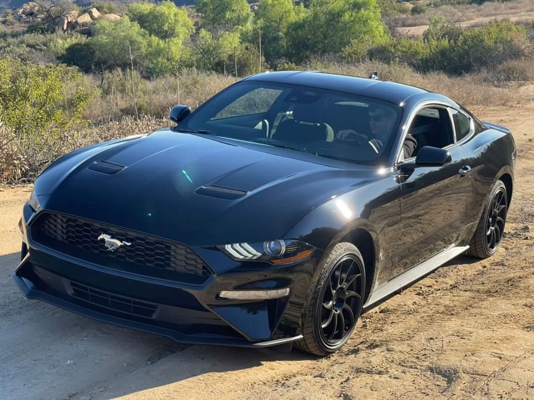 Comparing EcoBoost vs GT Mustang Builds: Which One is Right For You ...