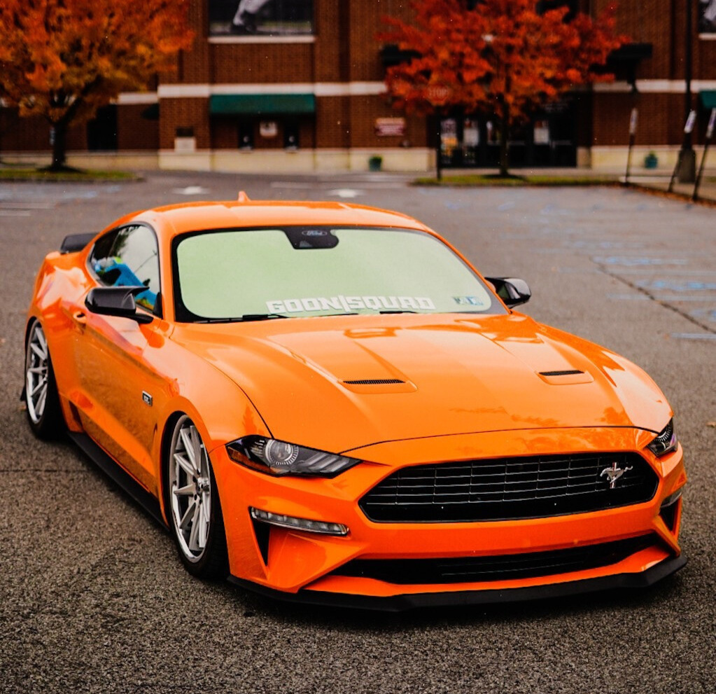 Comparing EcoBoost vs GT Mustang Builds: Which One is Right For You ...